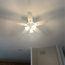 Hunter Fan 42" Builder 5 - Blade Standard Ceiling Fan with Pull Chain ...