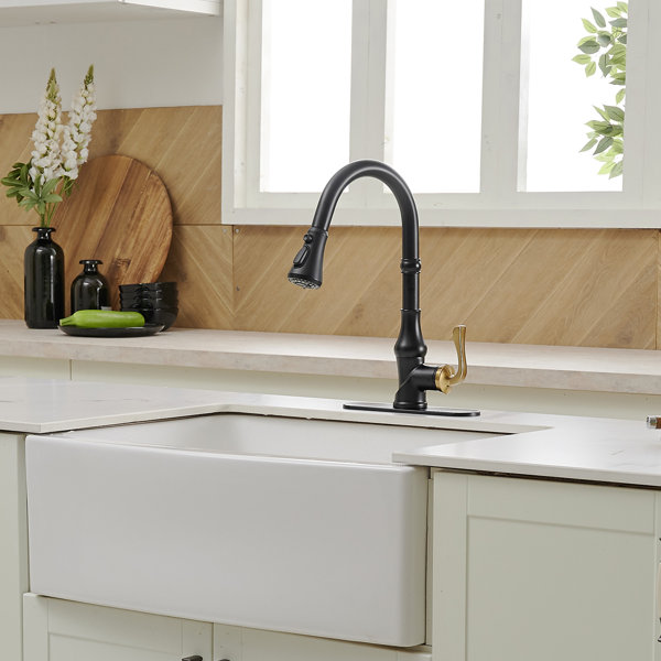 VIBRANTBATH Kitchen Faucet & Reviews | Wayfair