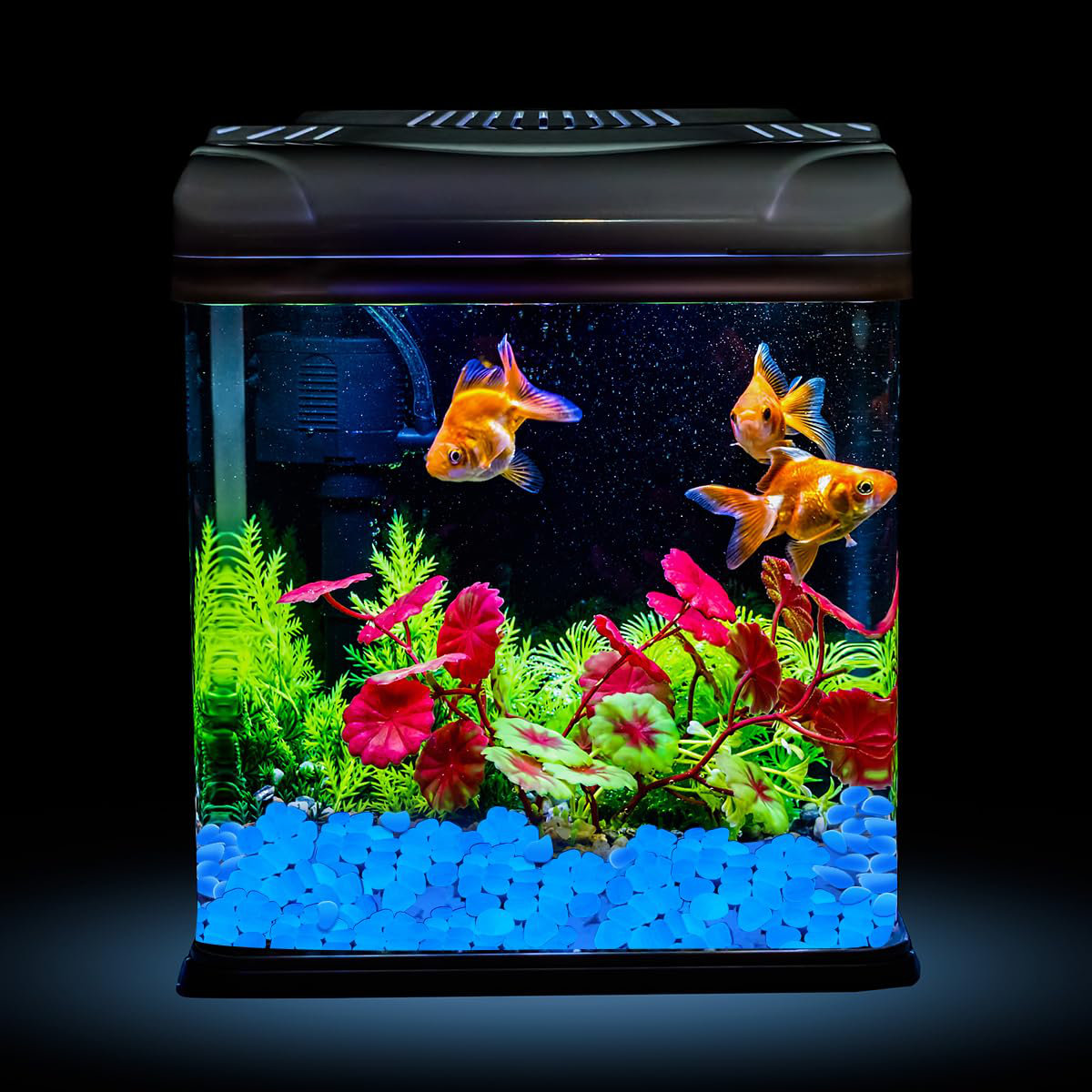 Dovecove Glow In The Dark Rocks Outdoor, 500 Pcs Solar Rocks For ...