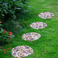 Stepping Stones | Wayfair
