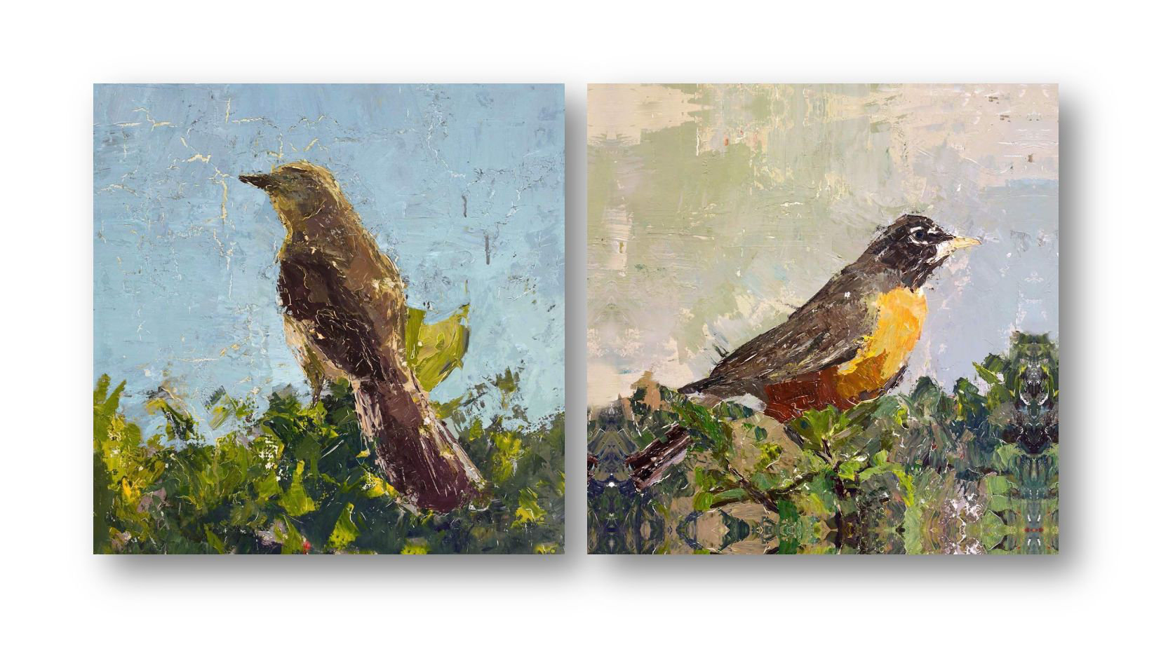 John Beard Collection Bird Set by John Beard - Artist Enhanced Canvas ...