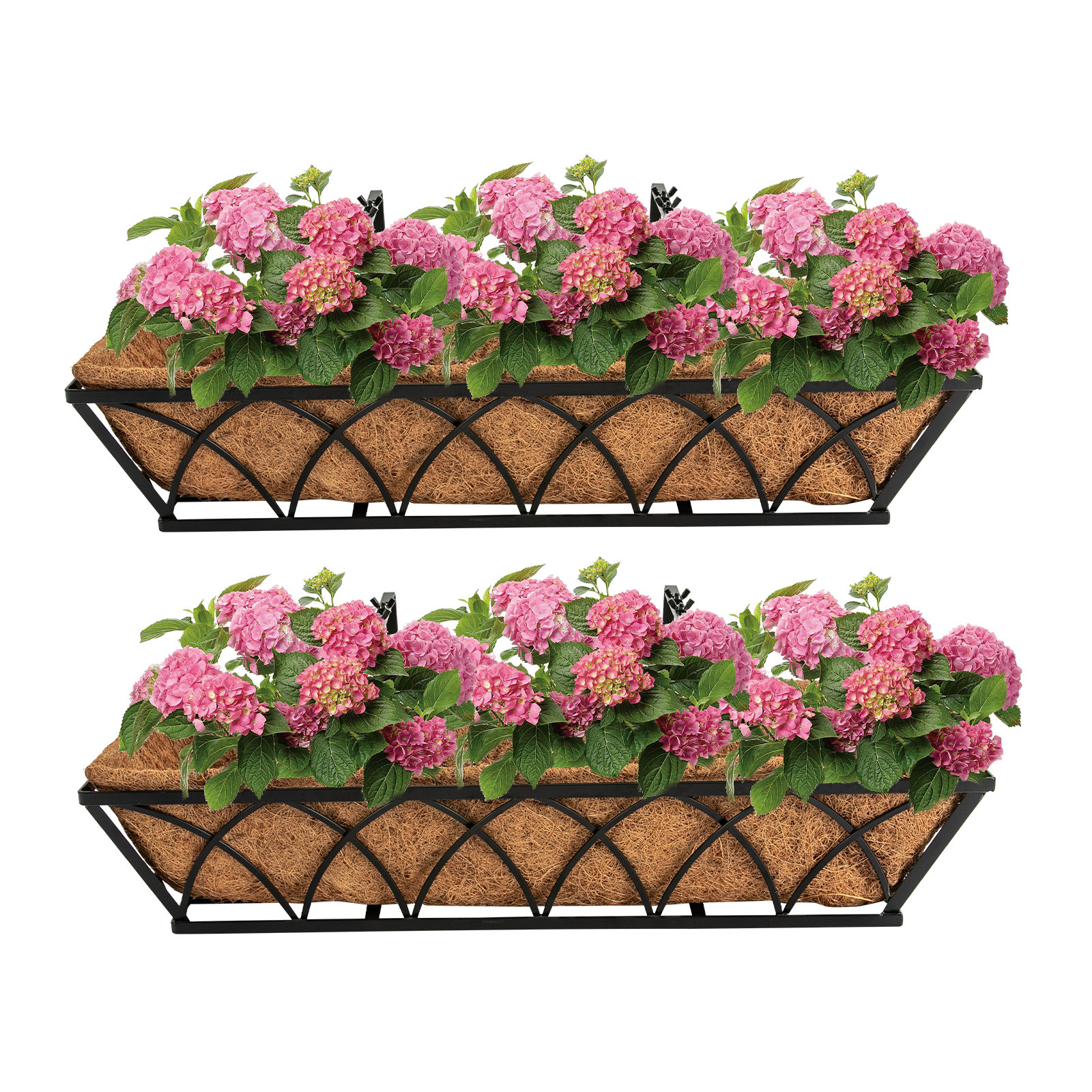 Arlmont & Co. 2 PCS Window Basket For Plants - Wayfair Canada