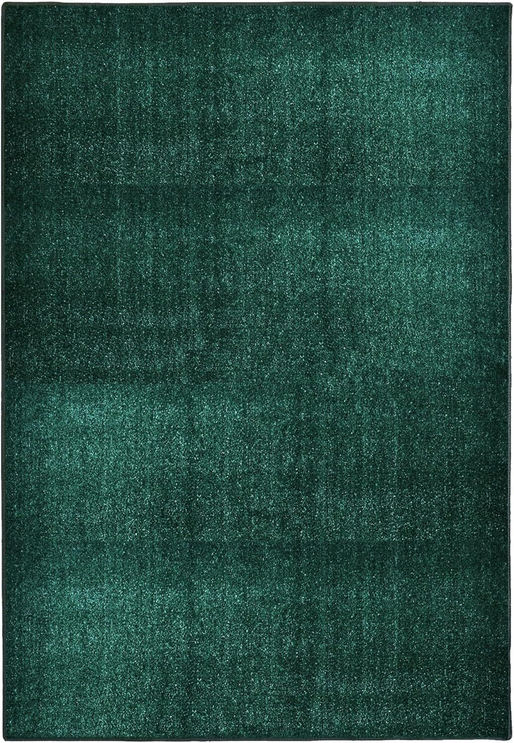 Dakota Fields Tapis et tapis de gazon intérieur / extérieur, gazon synthétique pour terrasses ...