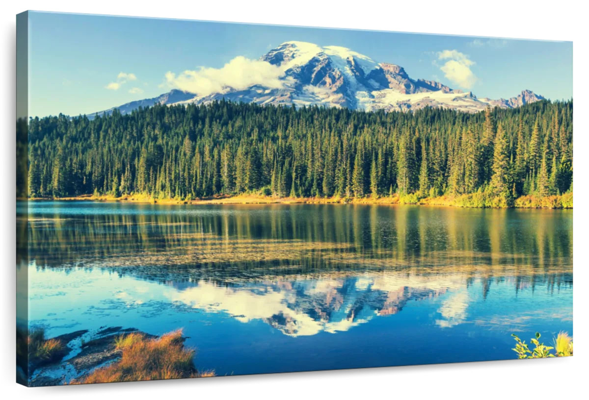 Millwood Pines Alvord Mount Rainier Lakeside Mountains | Wayfair