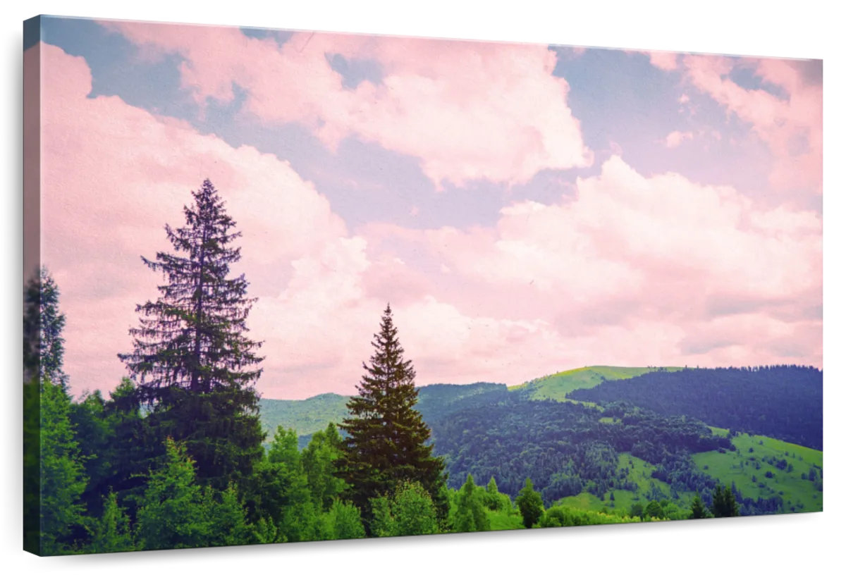 Elephant Stock Valley Of Pines | Wayfair