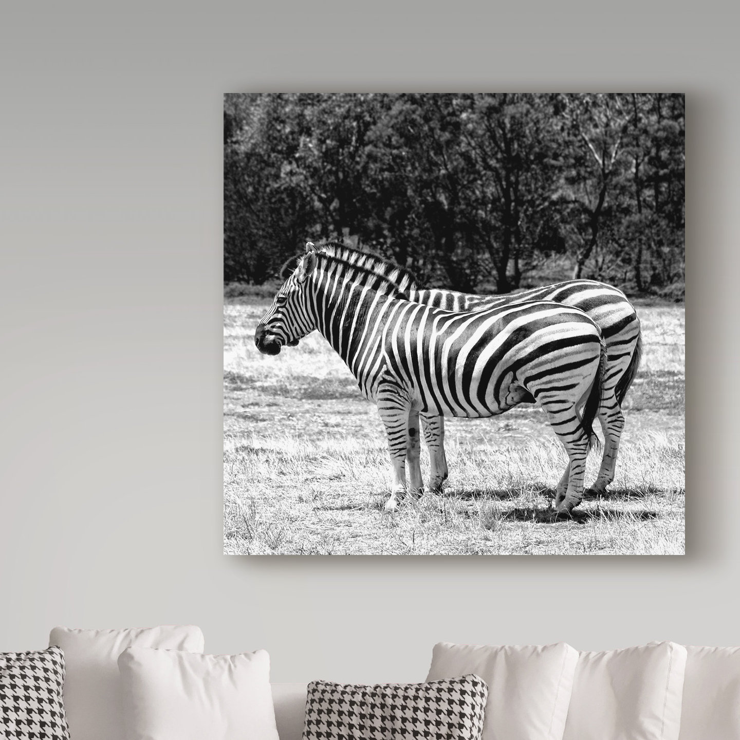 Trademark Fine Art 'Gray Zebra' Photographic Print on Wrapped Canvas ...