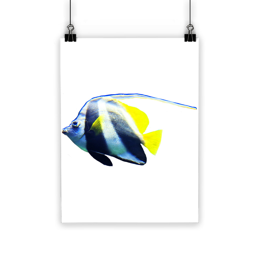 Highland Dunes White Black Fish Stripe Classic Poster | Wayfair