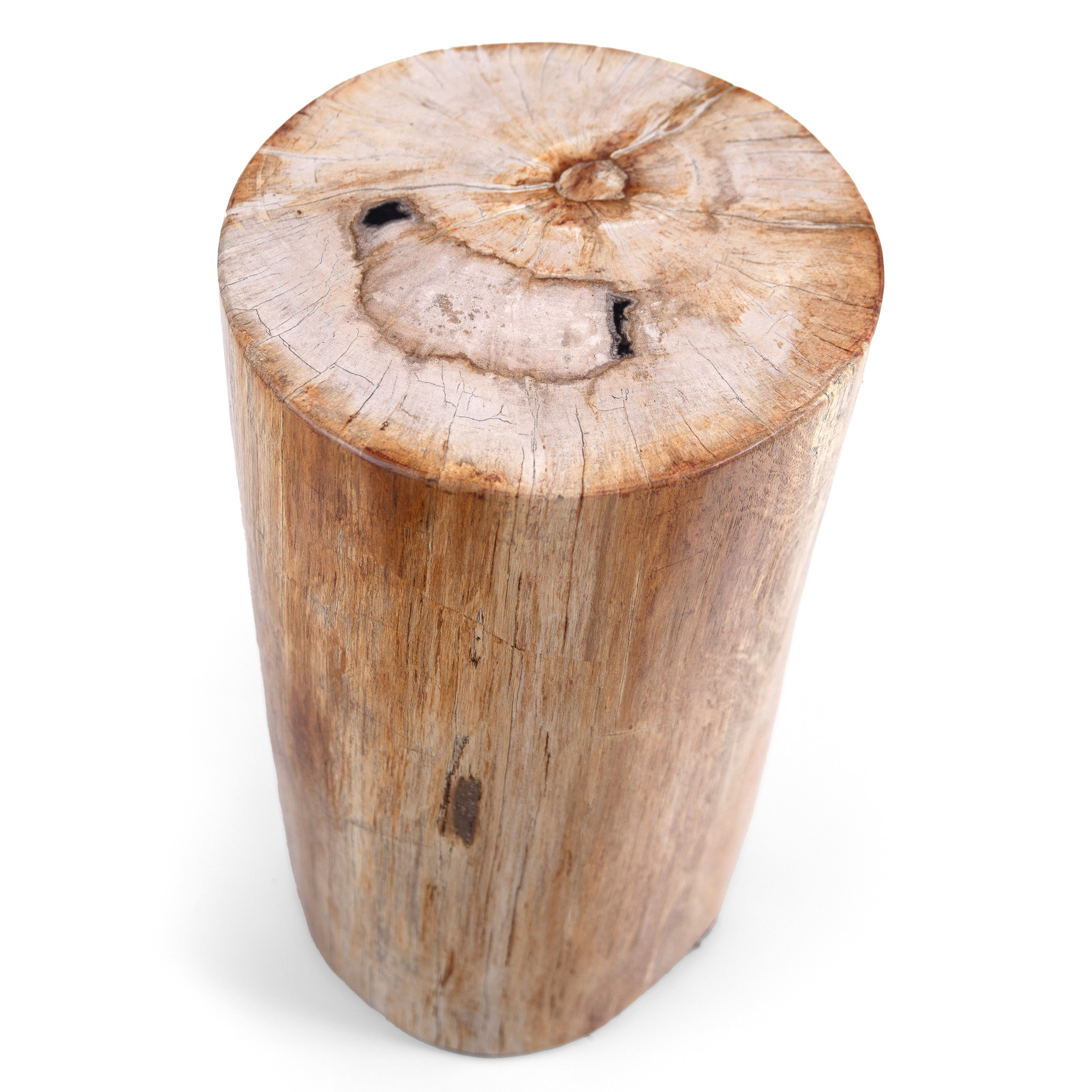 Daribali Design Fossil Relics End Table | Wayfair