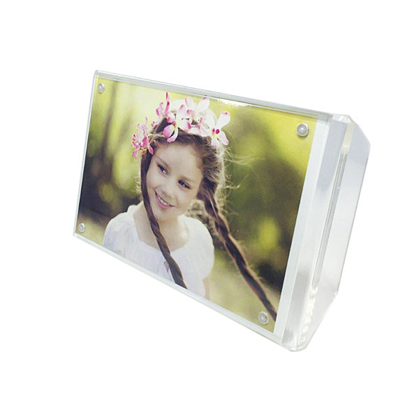 Ivy Bronx Frame, Acrylic Tabletop 4" x 6" Magnetic Close Photo/ Menu ...
