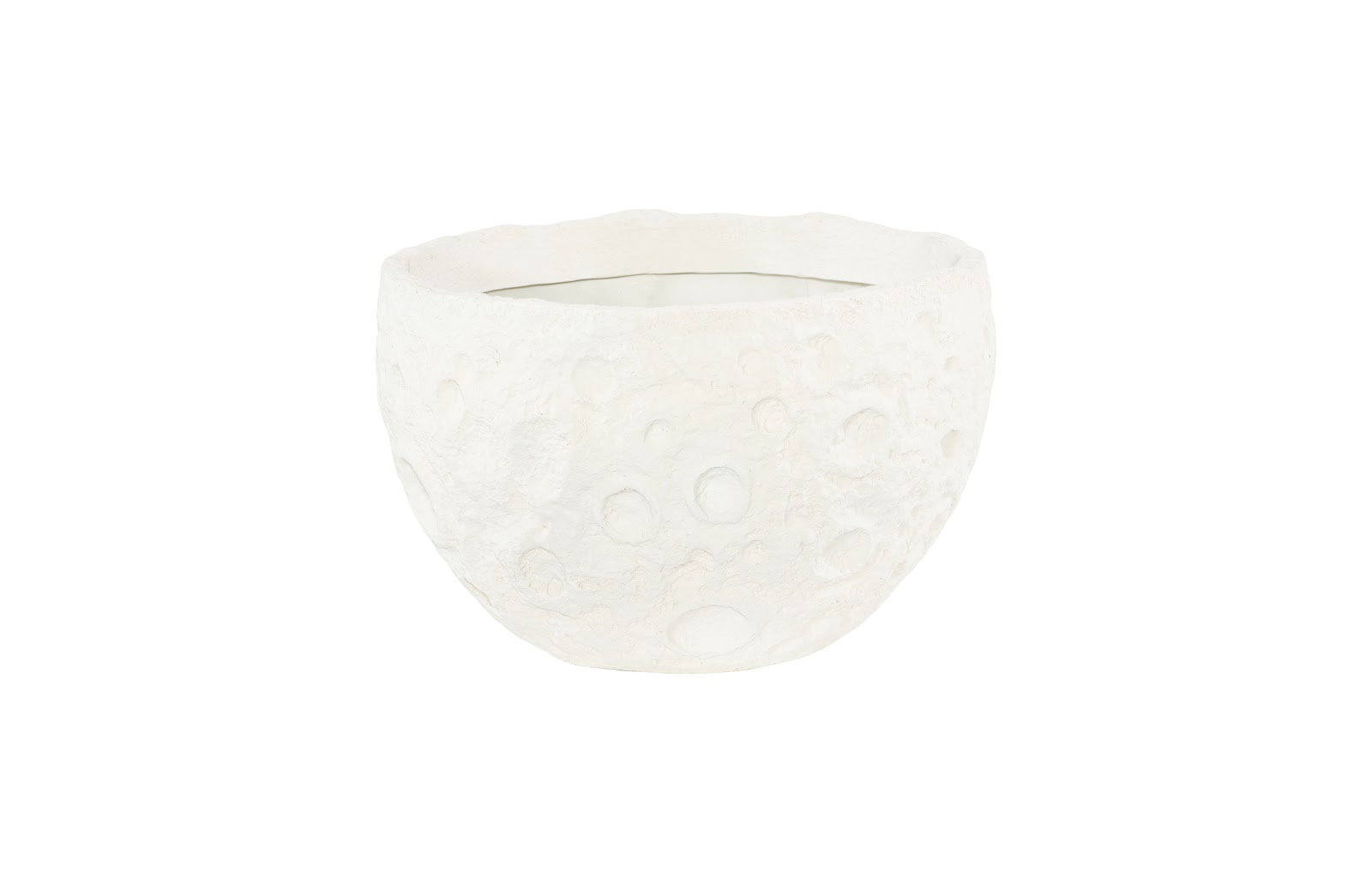 Phillips Collection Crater Planter, - Wayfair Canada