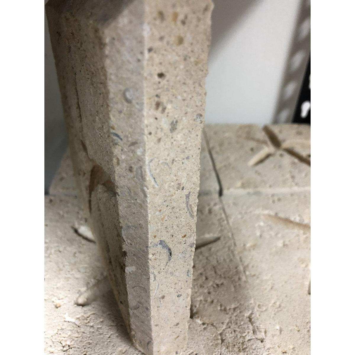 Matrix-Z 6" x 6" Cement Whole Fish Fossil Impression Decorative Accent ...