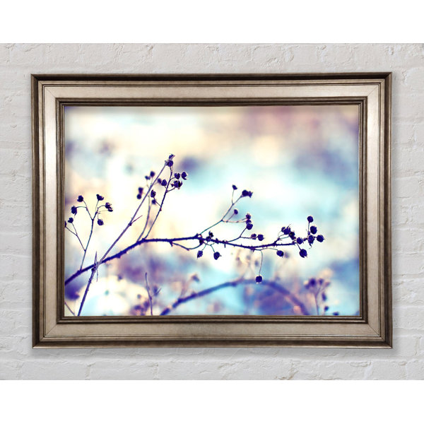 Bright Star Spikey Twigs With Berries - Single Picture Frame Print ...