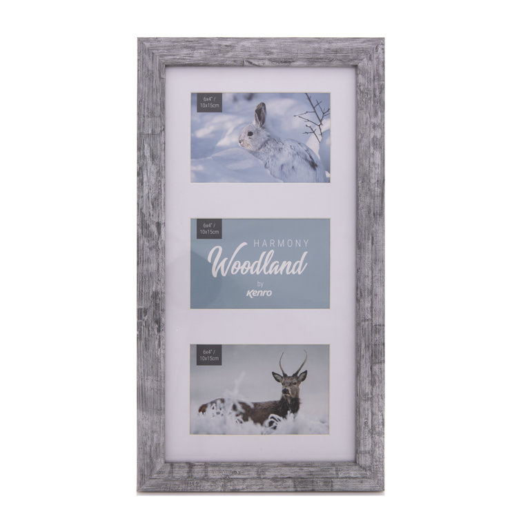 Kenro Harmony Picture Frame & Reviews | Wayfair.co.uk