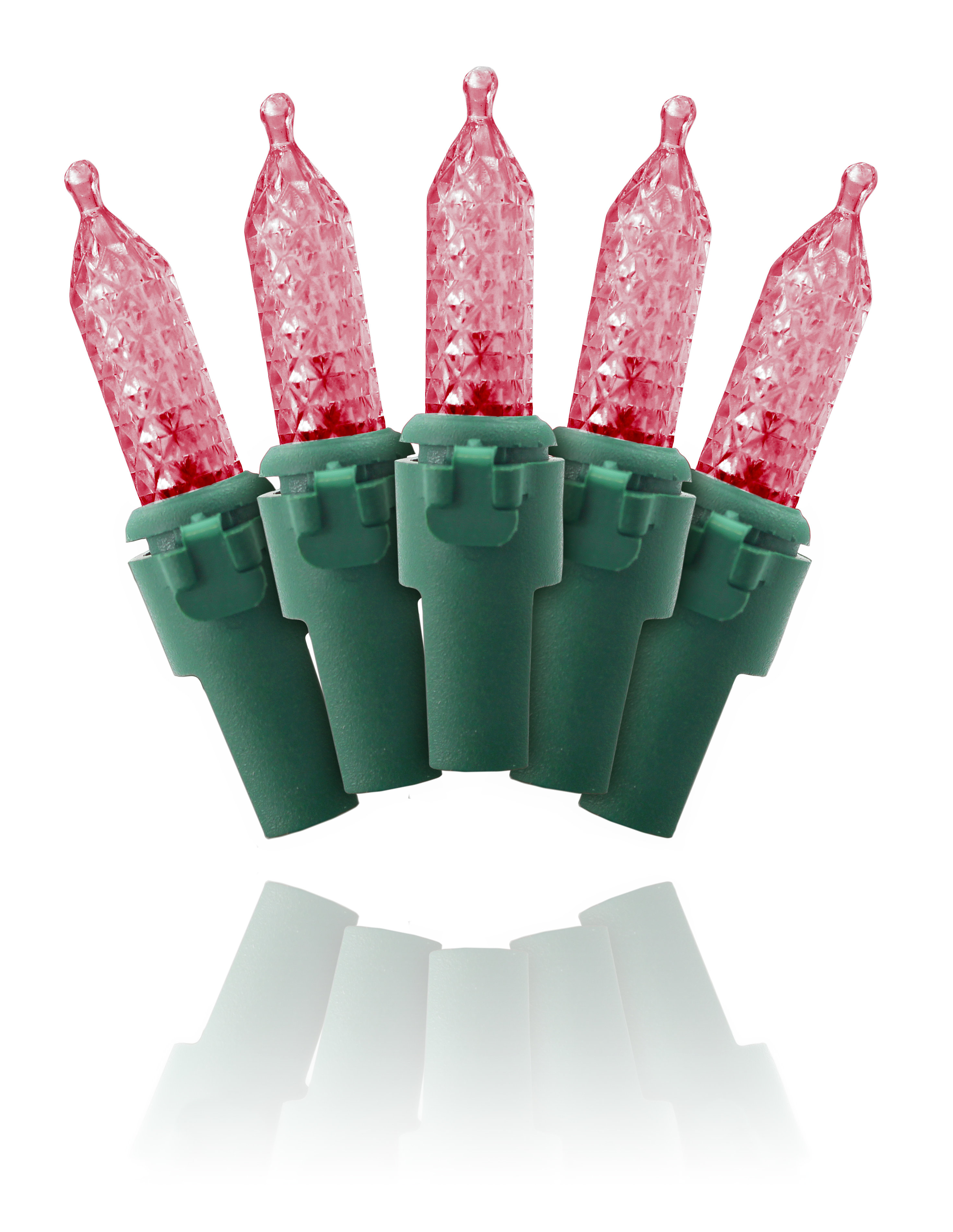Queens of Christmas 25' 50 - Bulb Mini String Light | Wayfair