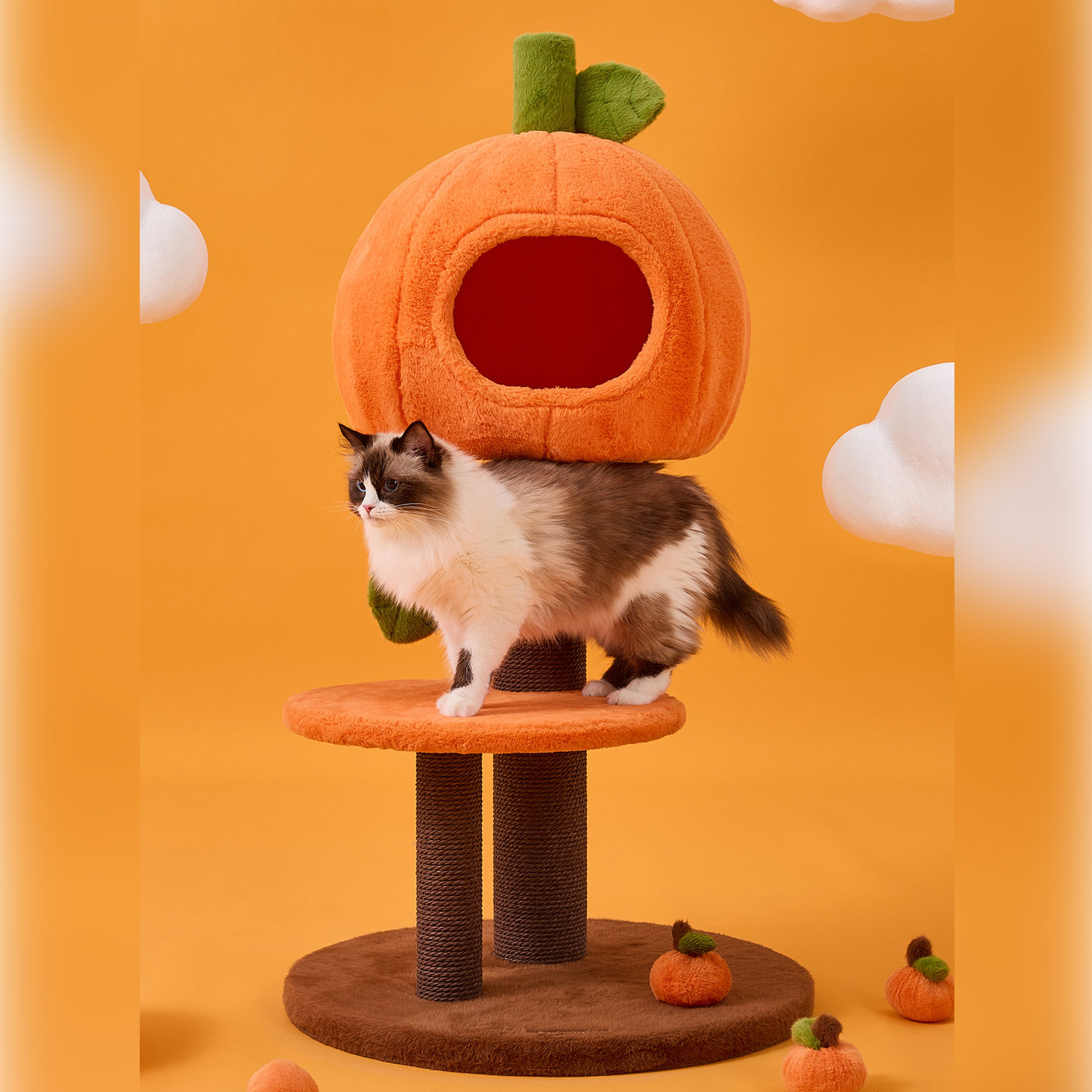 pumpkin climbing frame