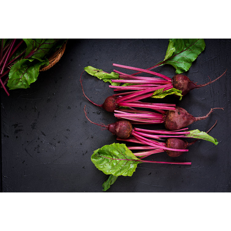 Ebern Designs Young Beetroot by Elena_Danileiko - Wrapped Canvas ...