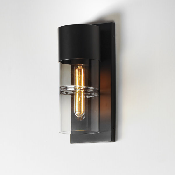 AllModern Capi Wall Light - Wayfair Canada