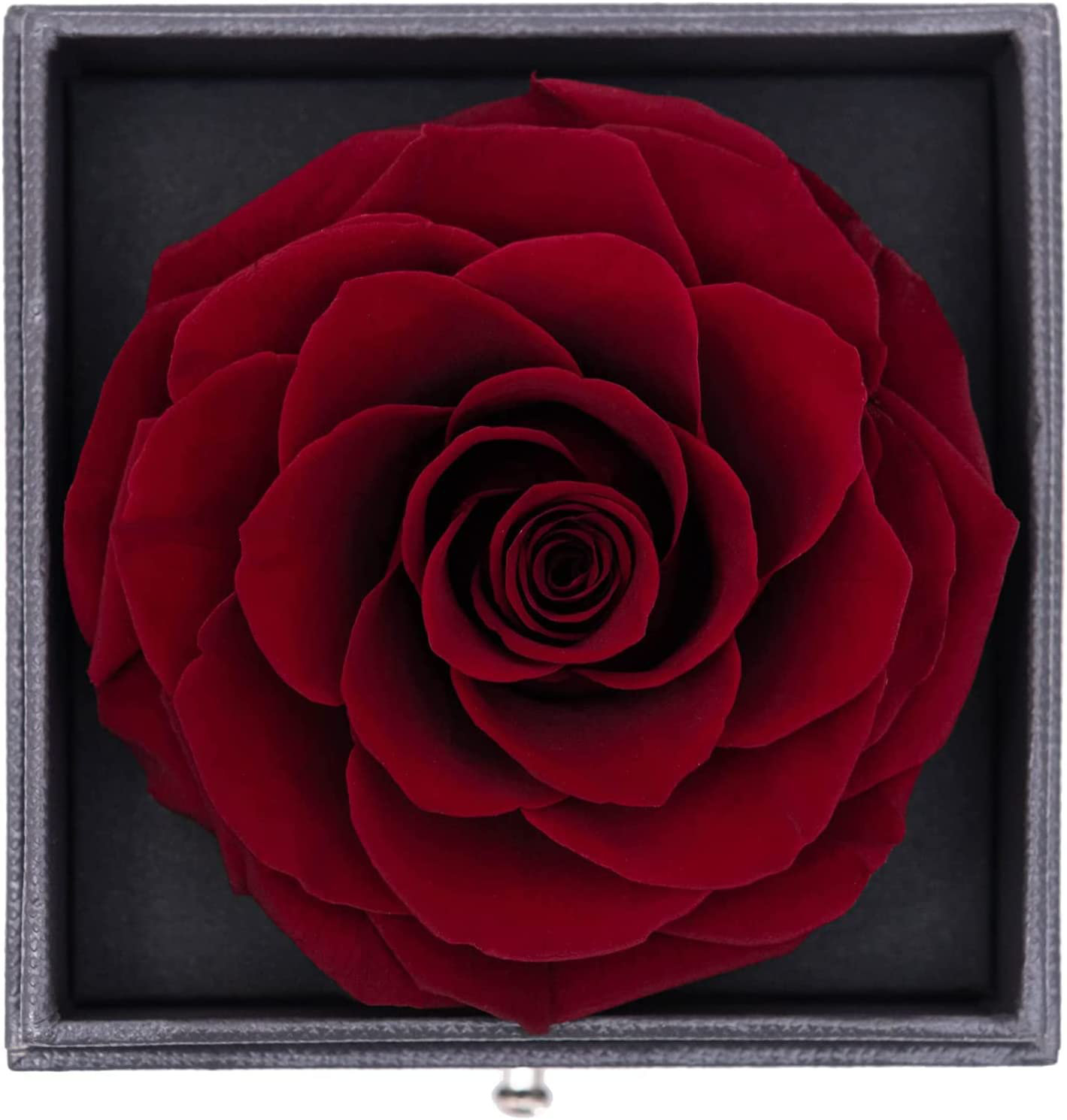 Primrue Eternal Preserved Real Rose with Silver-Tone Double Heart ...