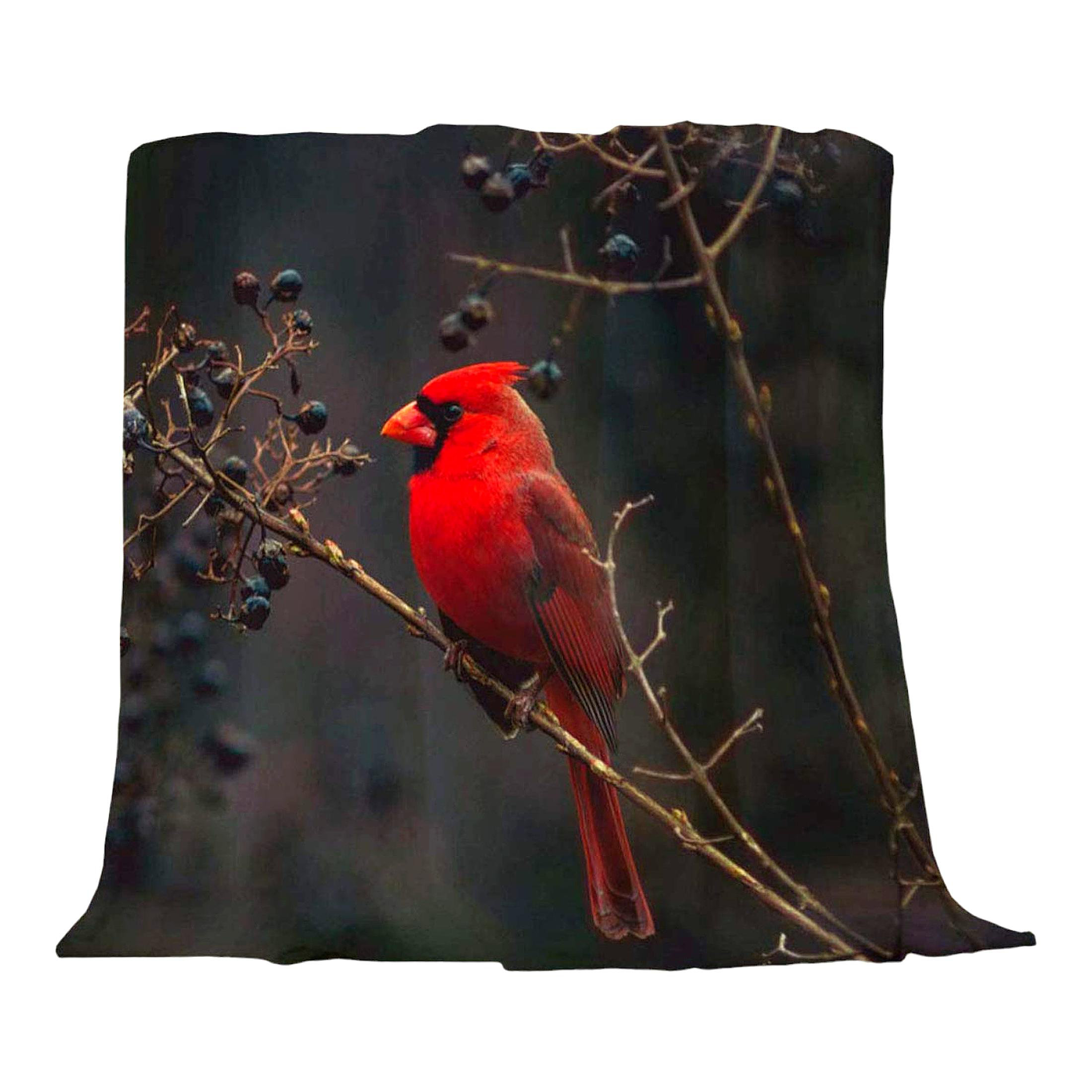 BRBCA Cardinal Comfort Flannel Throw - Soft, Warm, and Cozy Blanket for ...