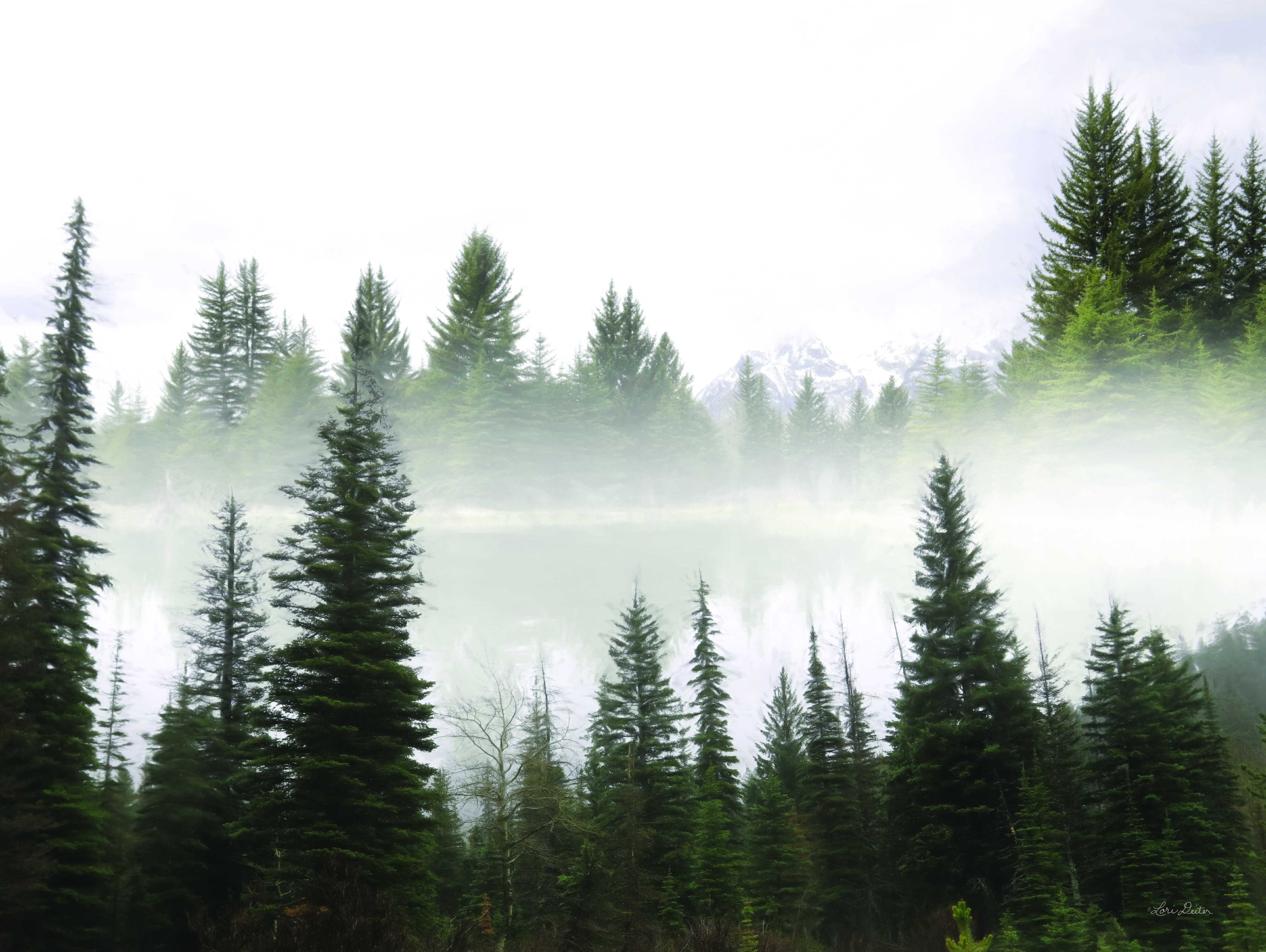 Loon Peak® Wyoming Landscape - Wrapped Canvas Print | Wayfair