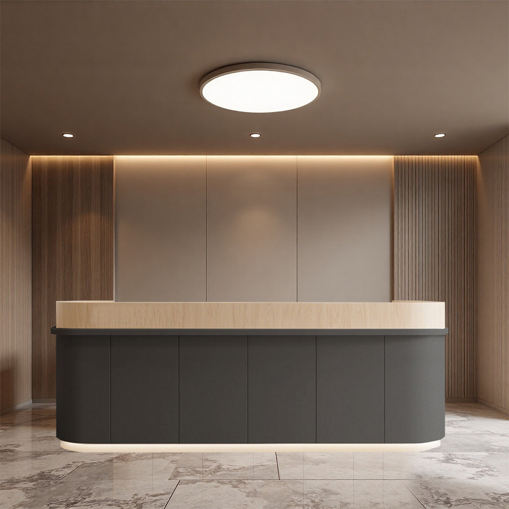 XOXE DESIGN Sleek Modern Welcome Desk with Integrated Cashier Counter ...