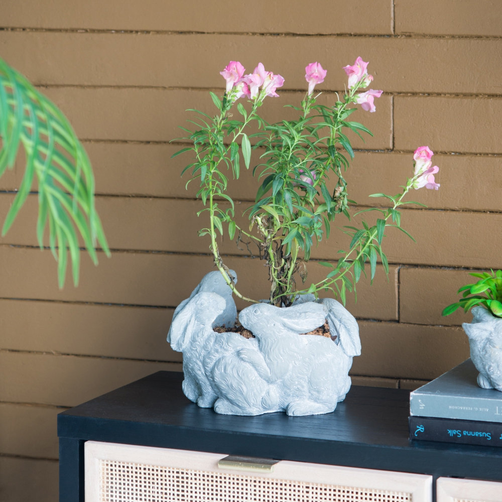 August Grove 10x8x6.5in Bunny Cement Planter - Wayfair Canada