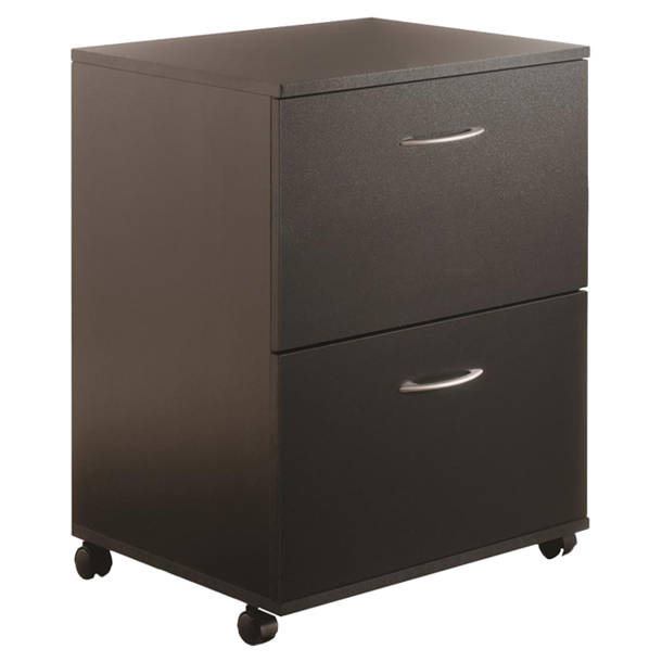 The Twillery Co.® Carter 2-Drawer Vertical Filing Cabinet & Reviews ...
