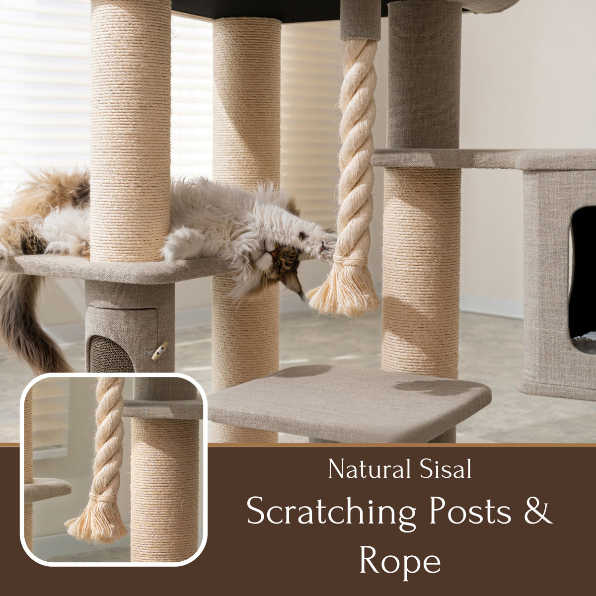 PetPals 71” Grand Maine Coon™ Cat Tree – Ontario & Reviews | Wayfair