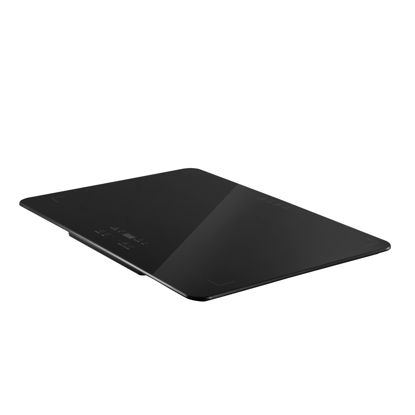 Ebern Designs Electric Warming Tray Buffet Food Warming w/ Temp Control ...