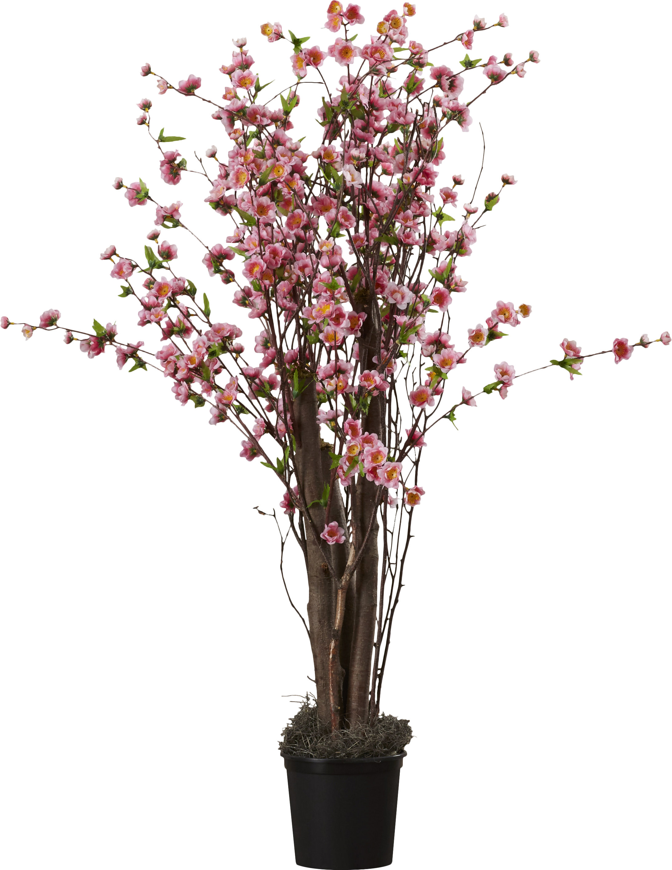 Lark Manor™ Artificial Blossom Tree & Reviews | Wayfair