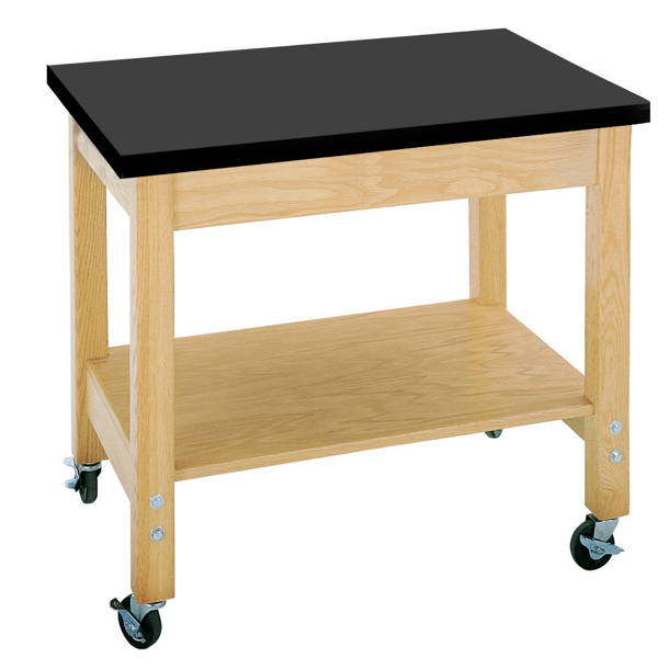 Shain 37.5'' W Rectangle Laminate Science Table | Wayfair