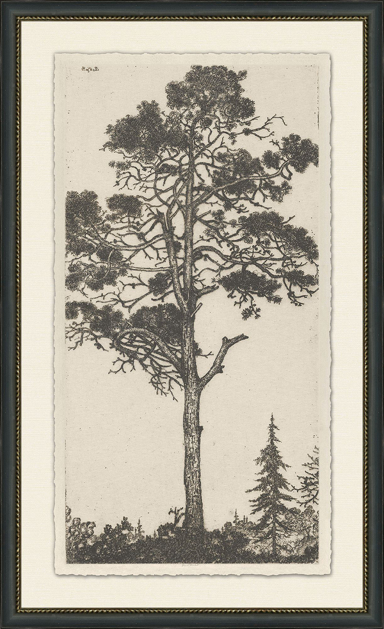 Wendover Art Group Tree Tops 1 | Wayfair