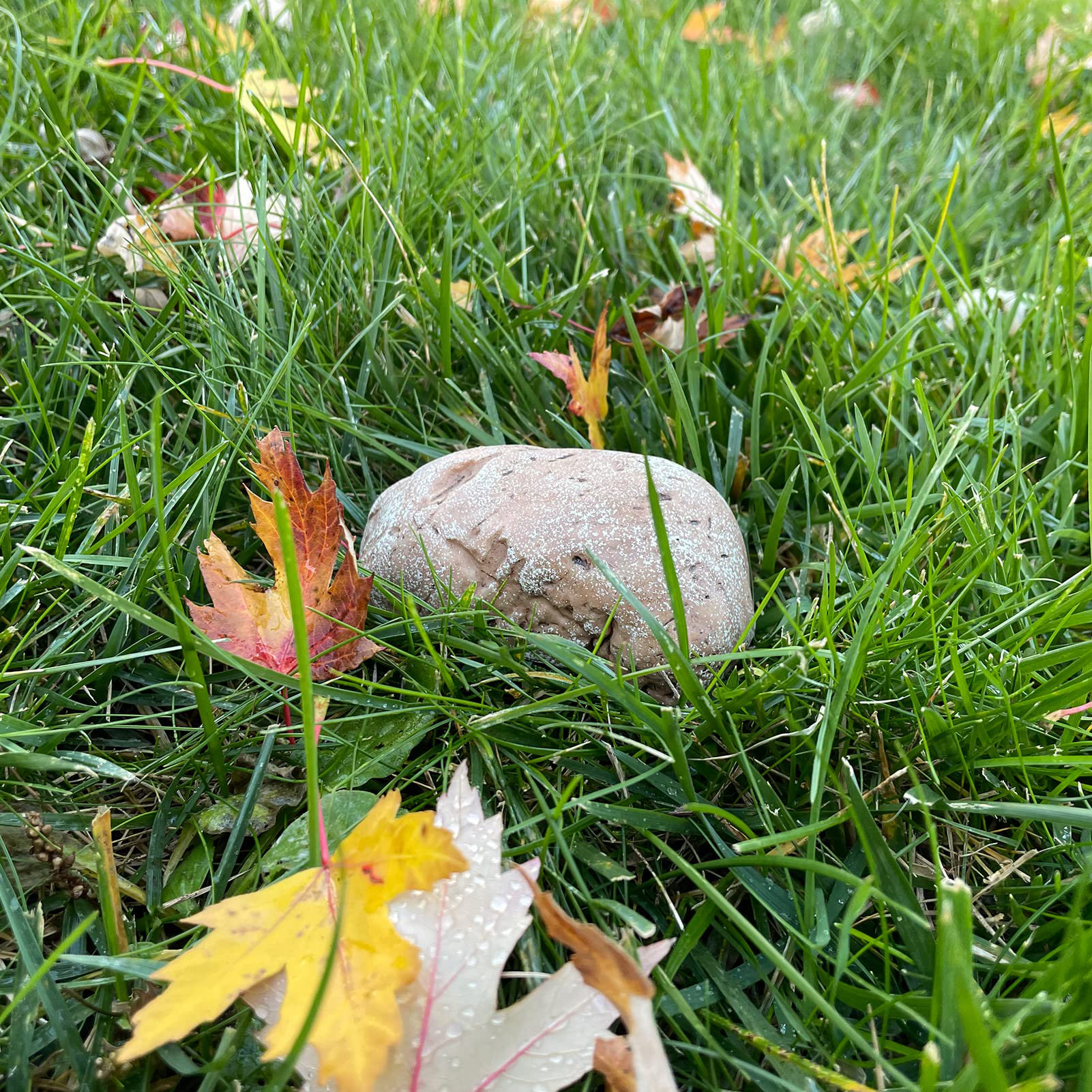 Arlmont & Co. Outdoor Secret Safe Box For Keys | Wayfair