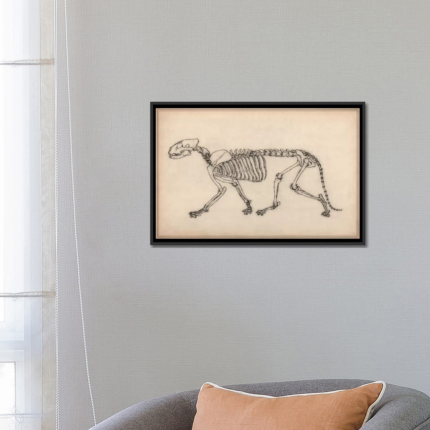 iCanvas Animal Art 'Tiger Skeleton Anatomy Drawing' Graphic Art on ...