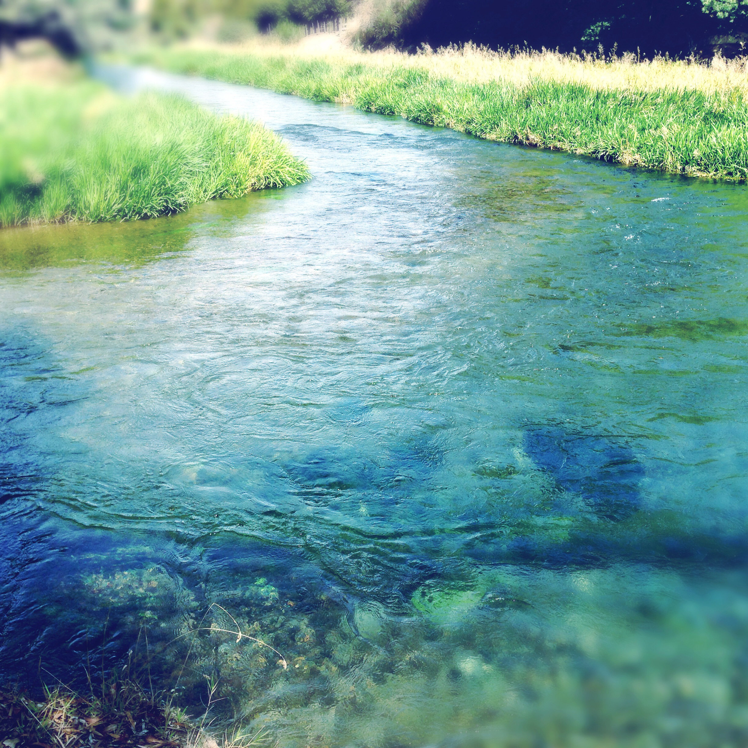 Highland Dunes Spring Water On Canvas by Stillfx Photograph | Wayfair