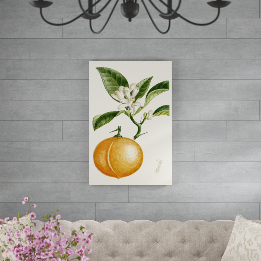 Gracie Oaks 'Turpin Fruit IV' Painting on Canvas & Reviews - Wayfair Canada