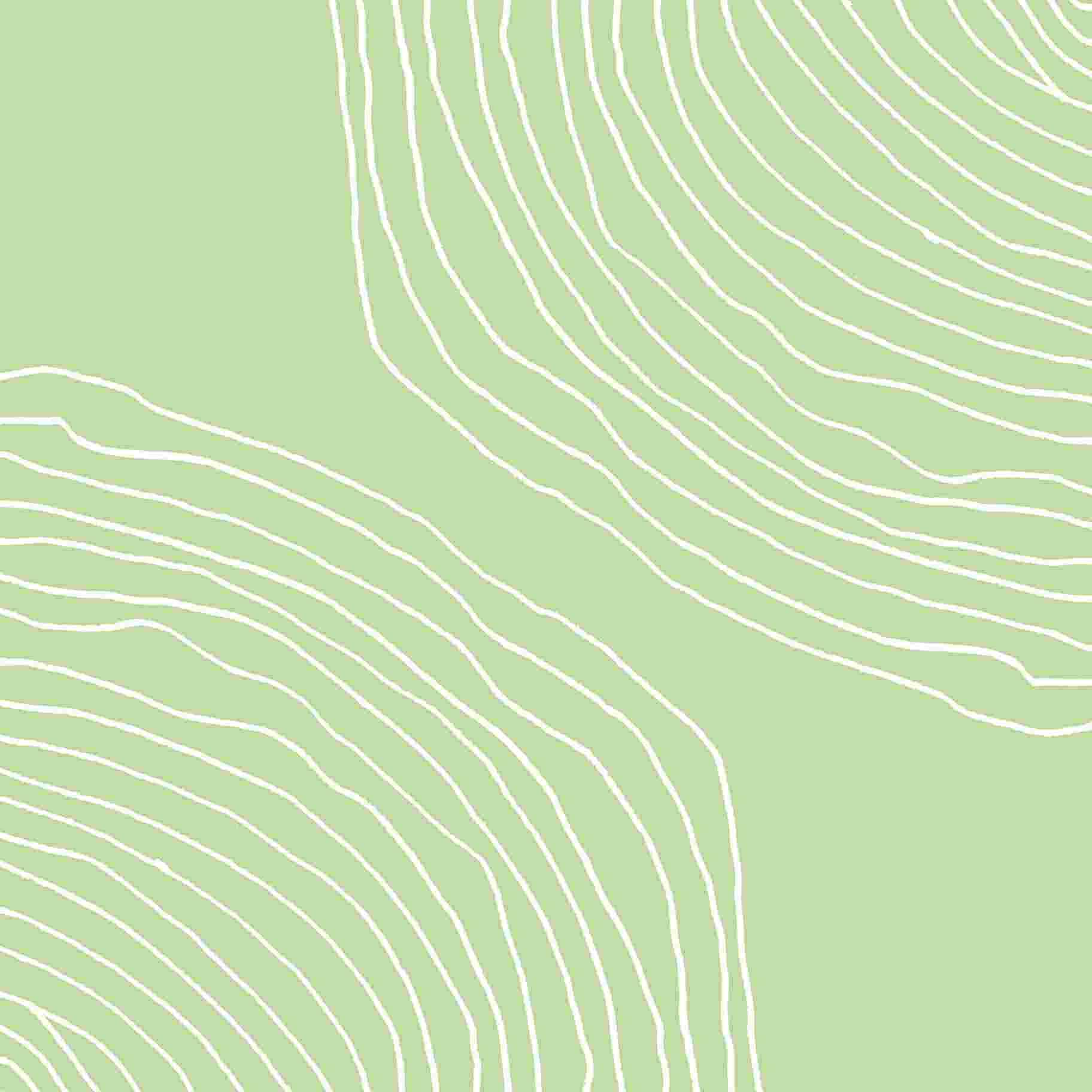 Wrought Studio™ Sage Lines - Wrapped Canvas Painting | Wayfair