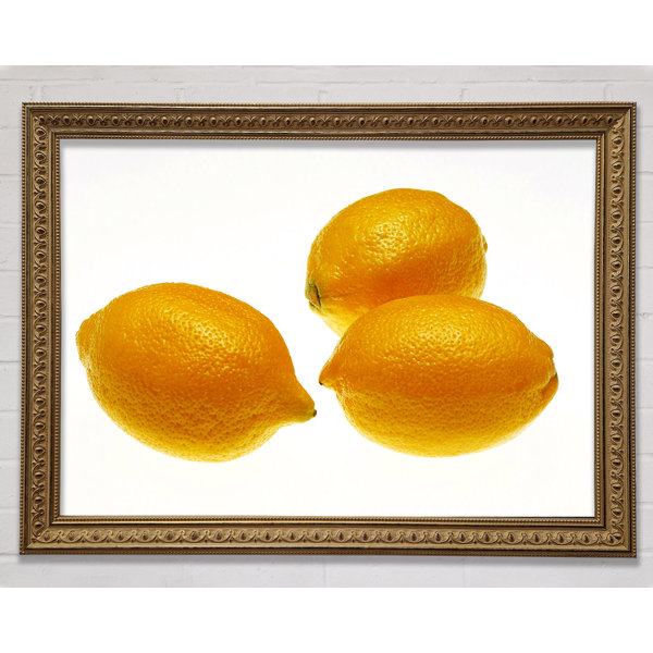Bright Star Lemon Trio - Single Picture Frame Print | Wayfair.co.uk