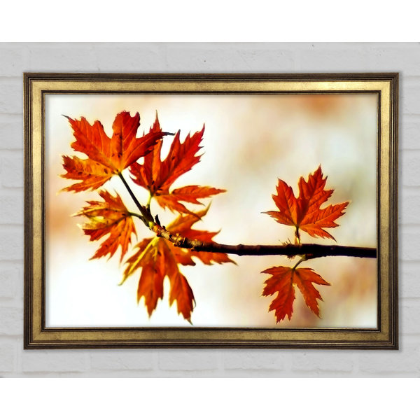 Latitude Run See You In Spring - Single Picture Frame Art Prints ...