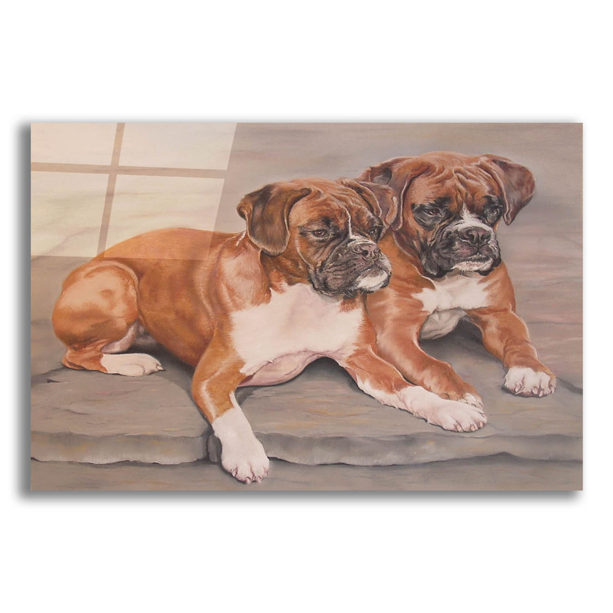 Red Barrel Studio® 'Two Boxer Dogs' By Janet Pidoux, Acrylic Glass Wall ...