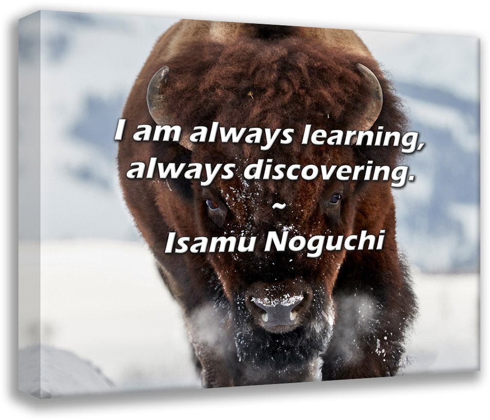 Trinx Isamu Noguchi Quote: I am always learning, always discovering ...