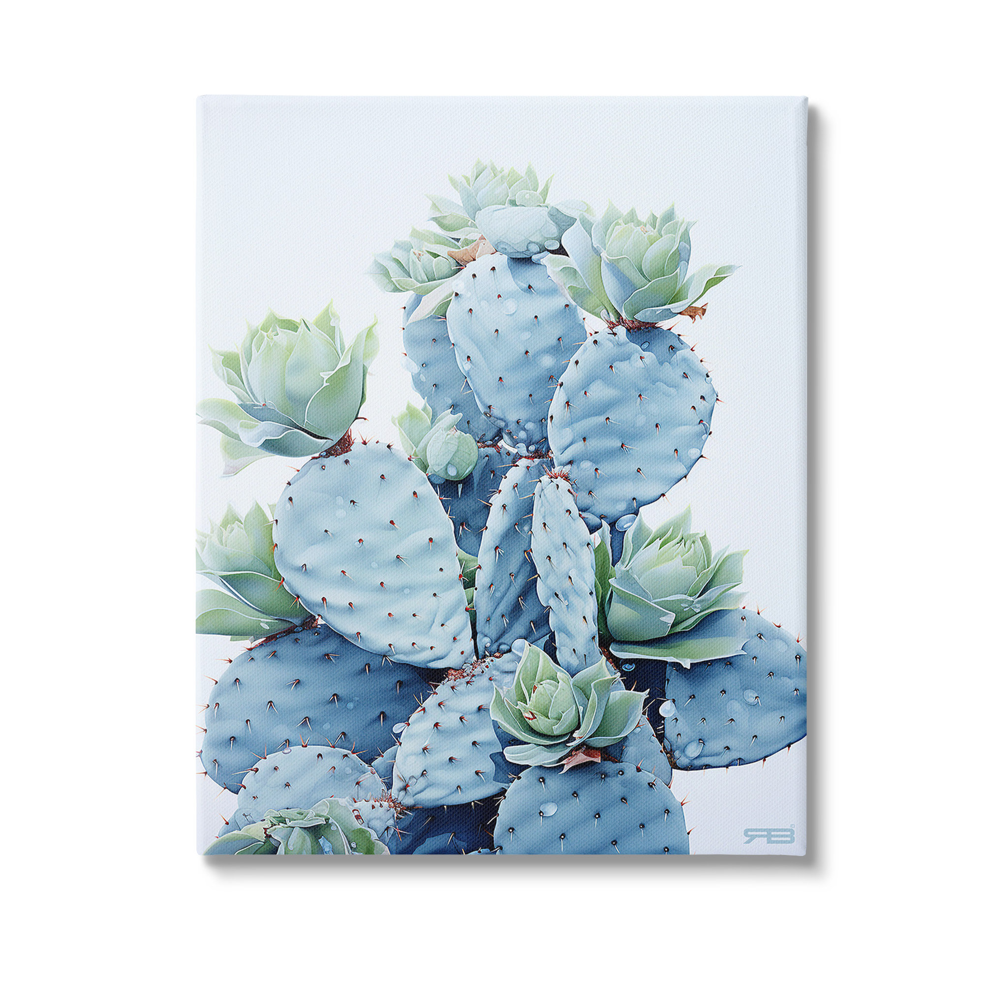 Latitude Run® Blooming Succulents & Cactus Canvas Wall Art Design By Rb ...
