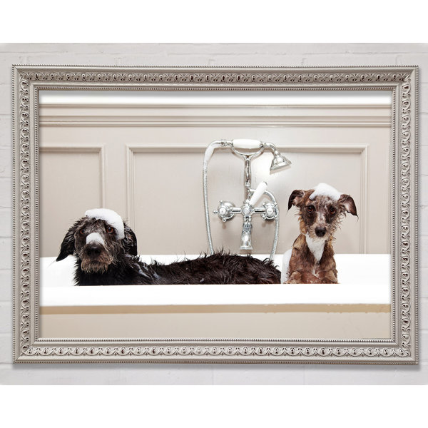 Bright Star Bath Time Dogs - Single Picture Frame Art Prints | Wayfair ...
