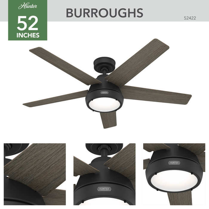 Hunter Fan Burroughs 52'' Ceiling Fan with Light Kit | Wayfair