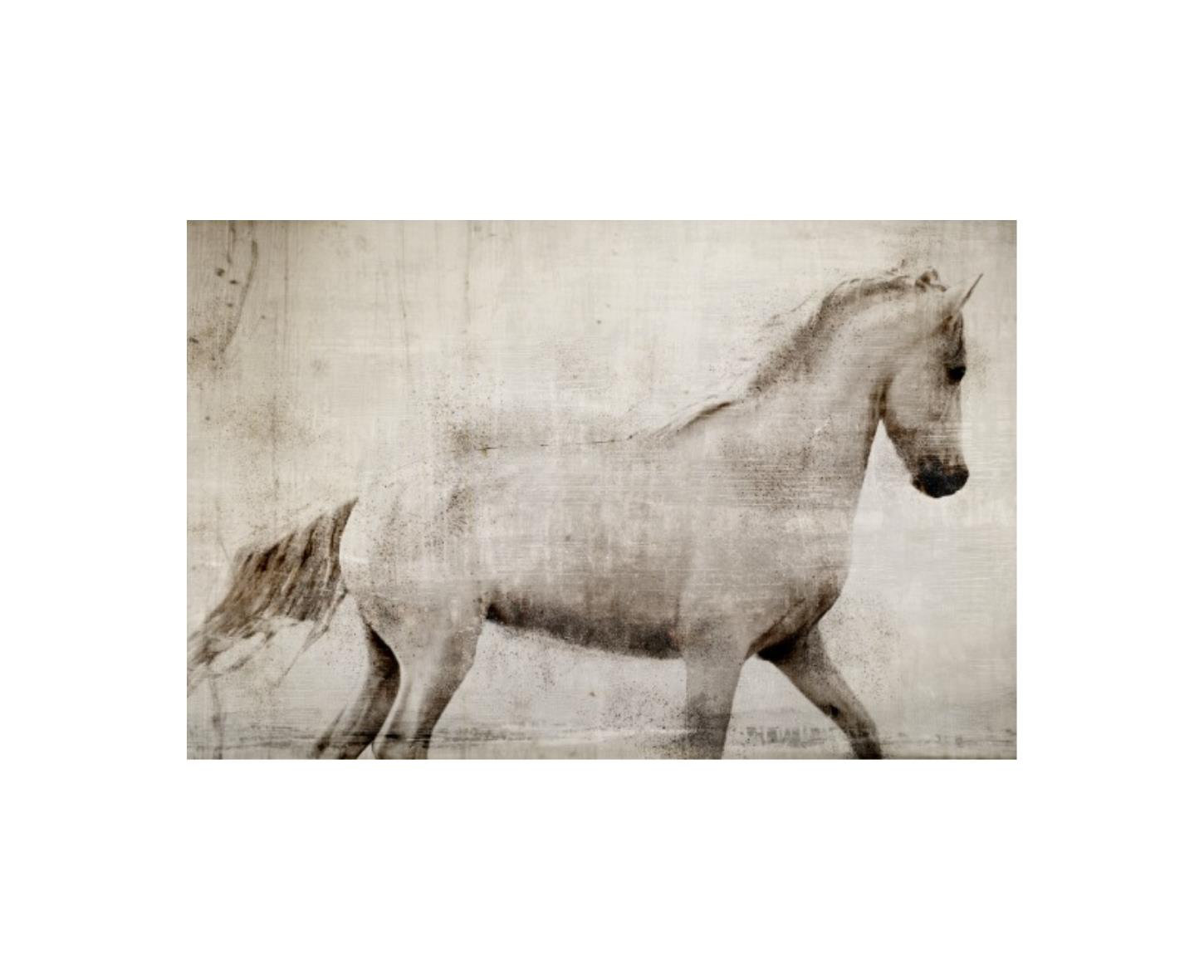 Chelsea Art Studio Calm Spirit by Zoey Riley - Wrapped Canvas Graphic ...