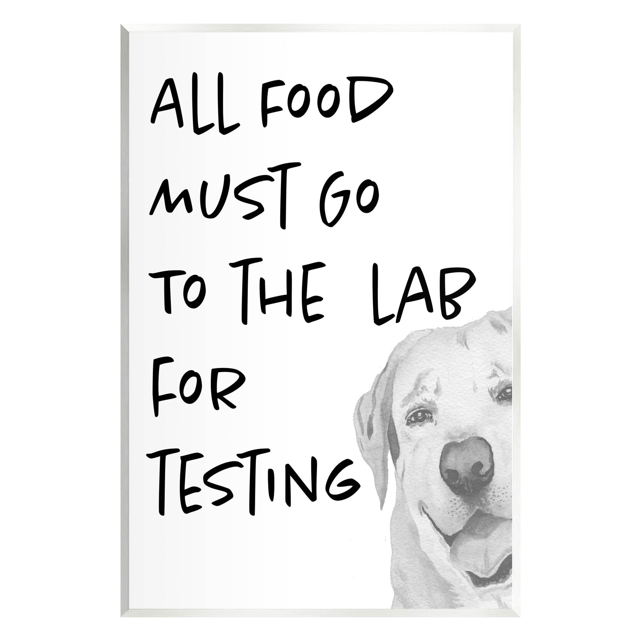 Stupell Industries Food To Lab For Testing Funny Dog Giclee Art By ...