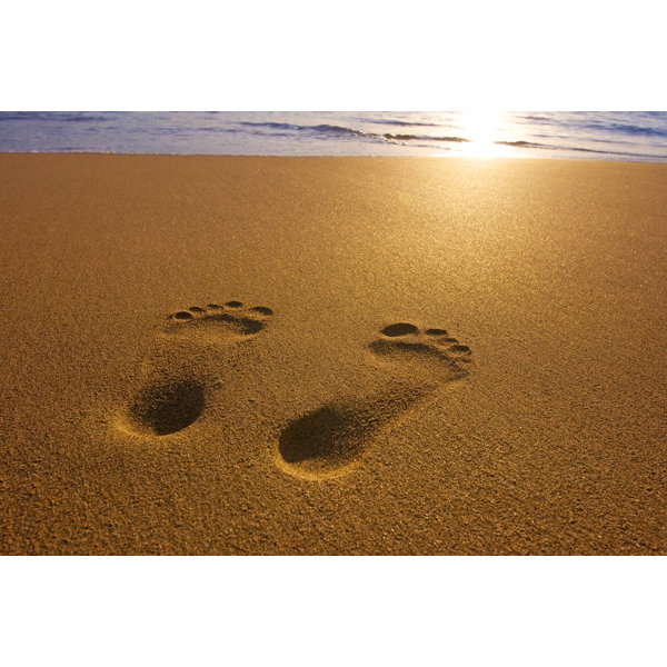 House of Hampton Footprints | Wayfair.co.uk