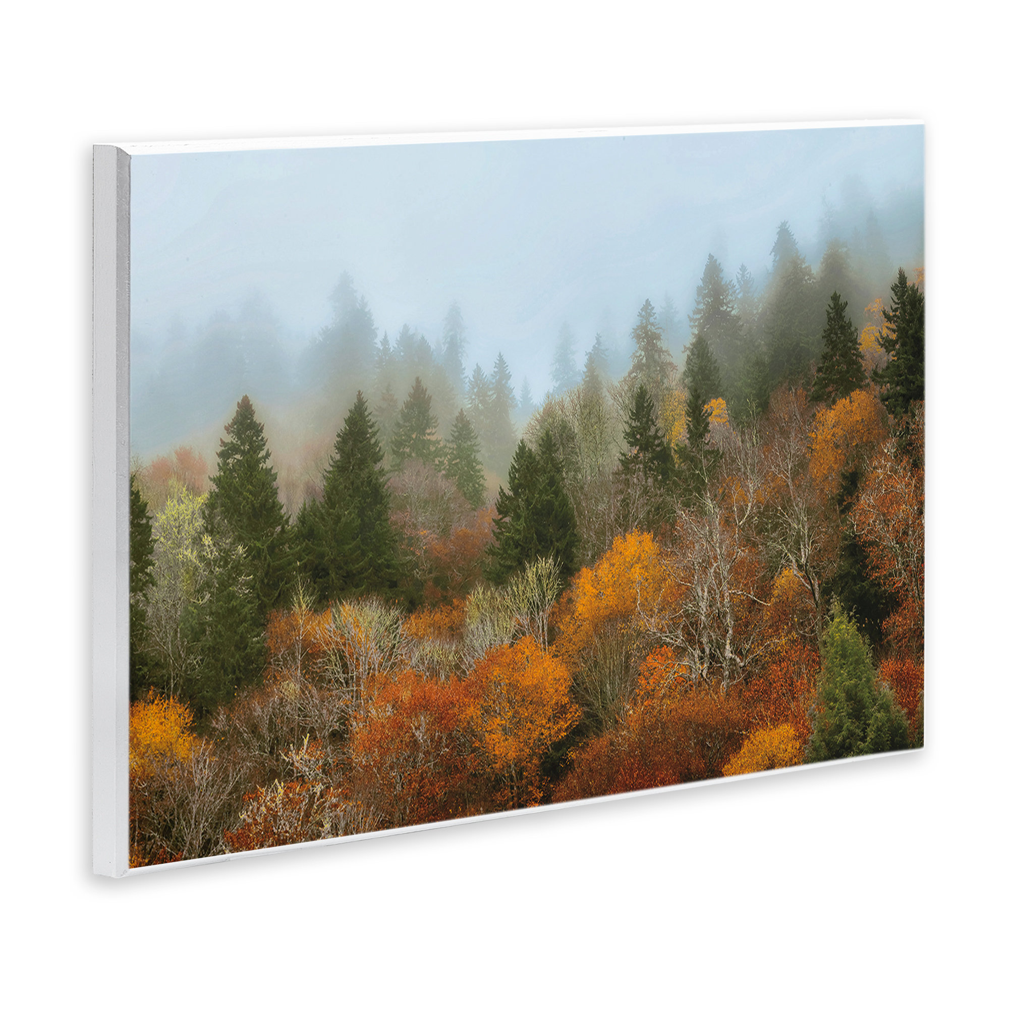 Union Rustic Autumn Mountain Overview Wall Plaque, design by D. Burt ...