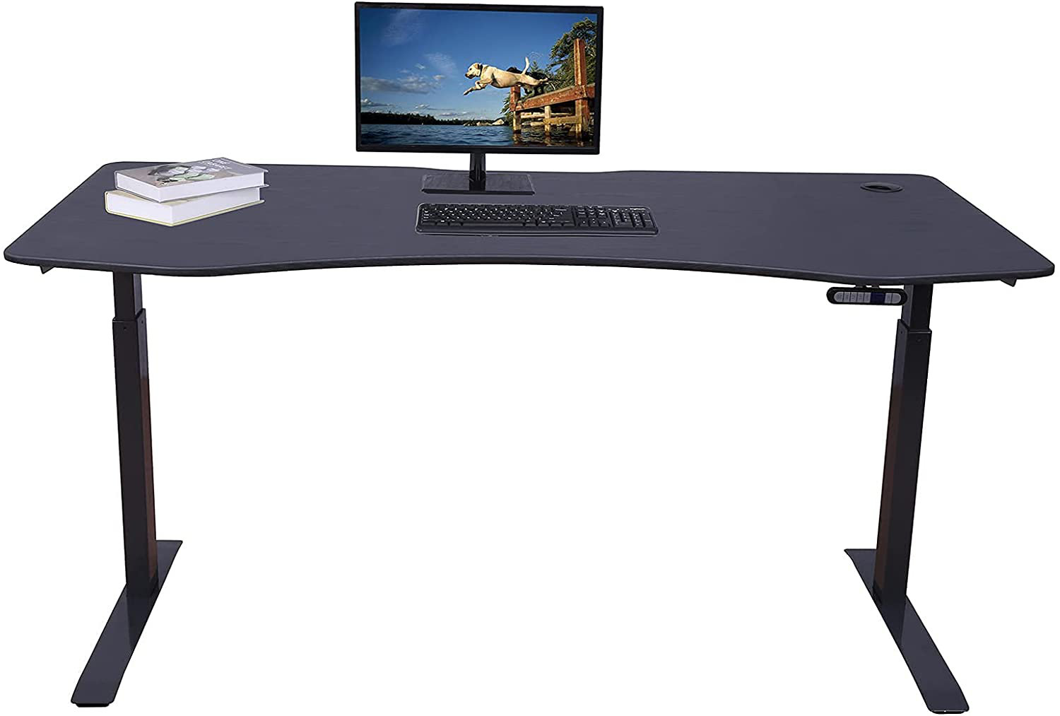 Upper Square™ Height Adjustable Standing Desk & Reviews | Wayfair