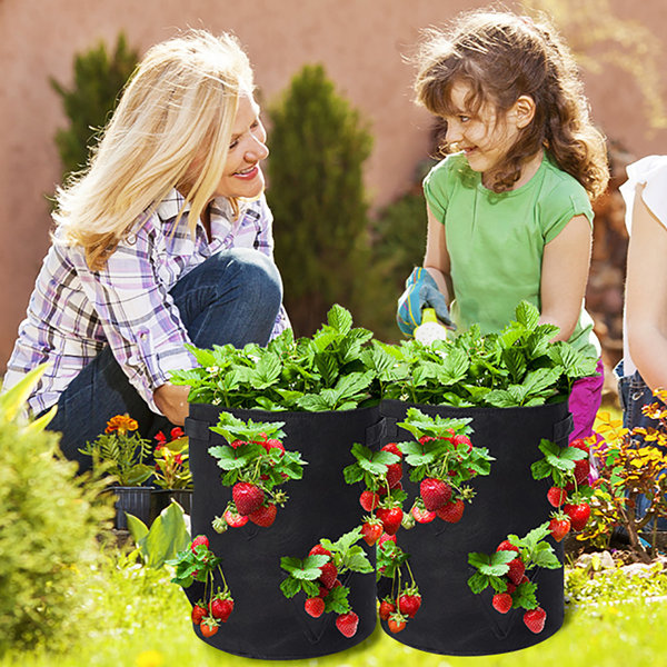 Arlmont & Co. Grow Bags Growing Kit, 2Pcs 10 Gallon Strawberry Grow ...